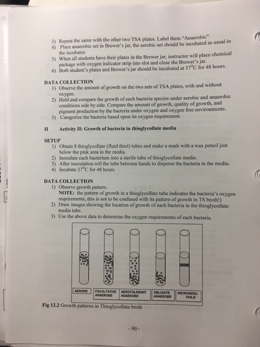 Solved MODULE 11 OXYGEN REQUIREMENTS OBJECTIVES Be familiar | Chegg.com