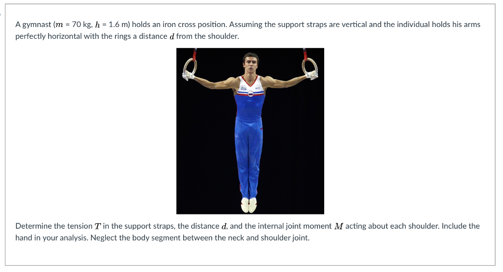 Solved A gymnast (m = 70 kg, h = 1.6 m) holds an iron cross | Chegg.com
