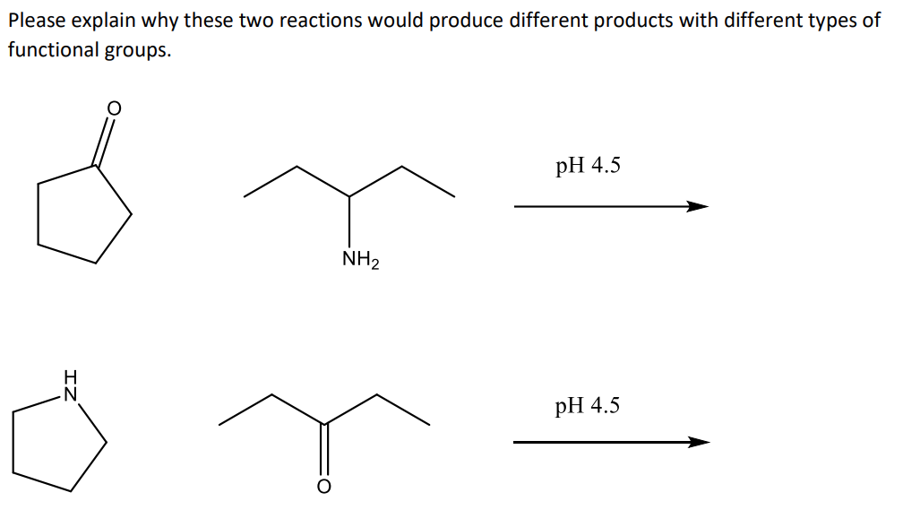 Solved Please explain why these two reactions would produce | Chegg.com Solved Please explain why these two reactions would produce | Chegg.com