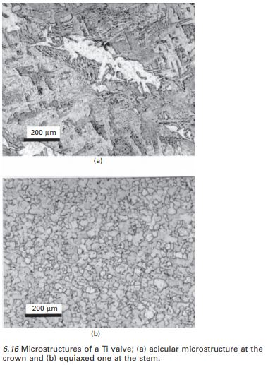 Solved 200 μm 5 200 um 6.16 Microstructures of a Ti valve; | Chegg.com