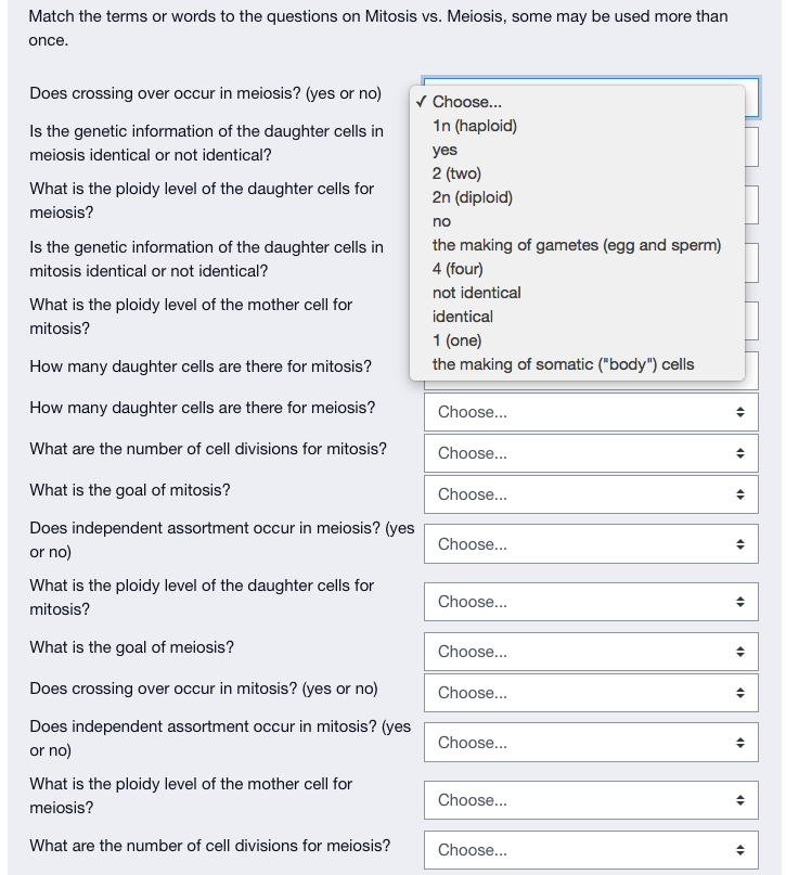 Solved Match the terms or words to the questions on Mitosis | Chegg.com