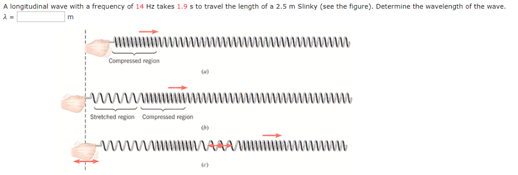 Longitudinal Wave Slinky