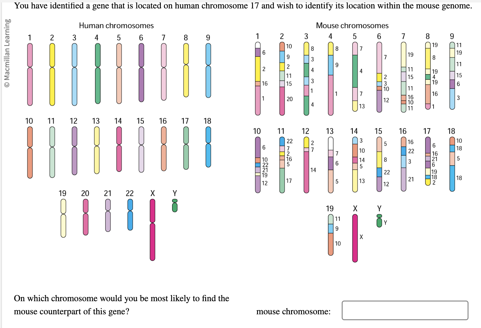 Solved On which chromosome would you be most likely to find | Chegg.com
