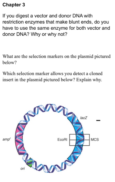 Solved Chapter 3 If you digest a vector and donor DNA with | Chegg.com