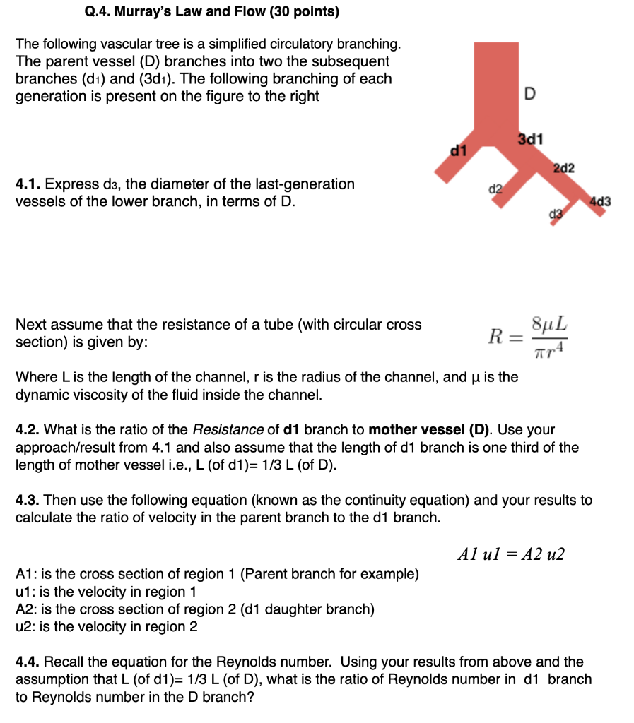 Solved Q.4. Murray's Law and Flow (30 points) The following | Chegg.com
