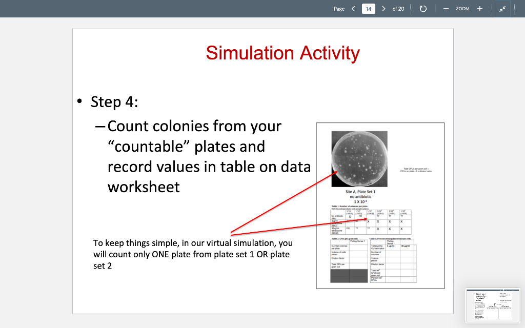 Step 4: count colonies from "countable" plates For | Chegg.com