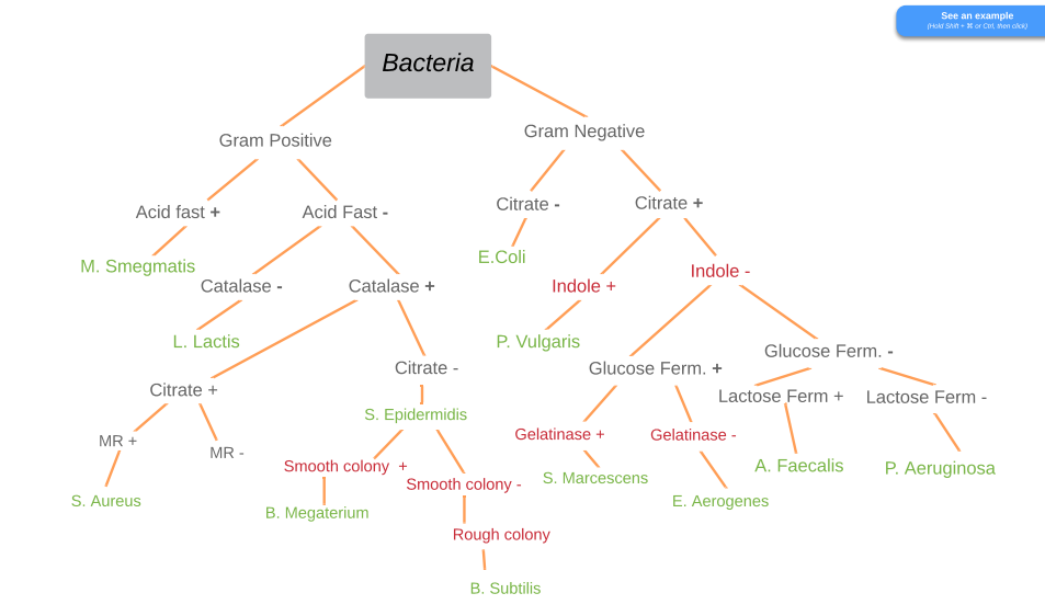 Solved To complete this assignment, you will need the | Chegg.com