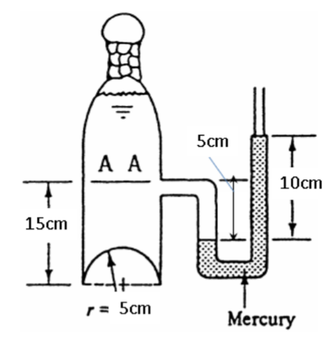 Solved The bottle of champagne (specific gravity SGc = 0.96) | Chegg.com