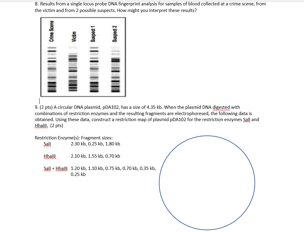 Solved 8. Results from a single locus probe DNA fingerprint | Chegg.com