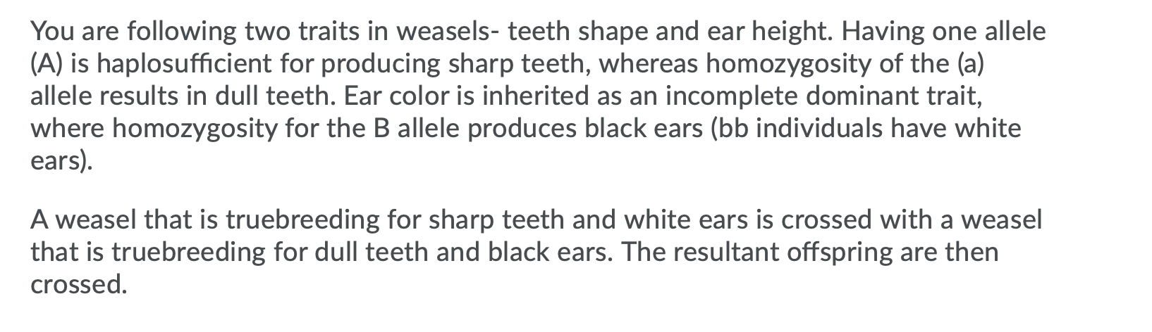 Solved You are following two traits in weasels- teeth shape | Chegg.com