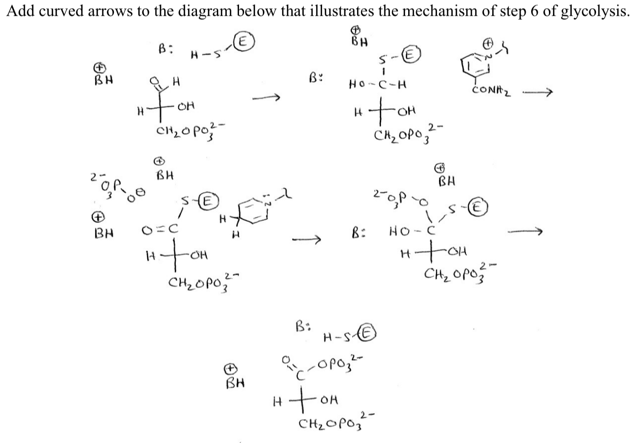 Solved \\( B \\) : \\( \\underset{B H}{\\oplus} \\) B: \\( | Chegg.com