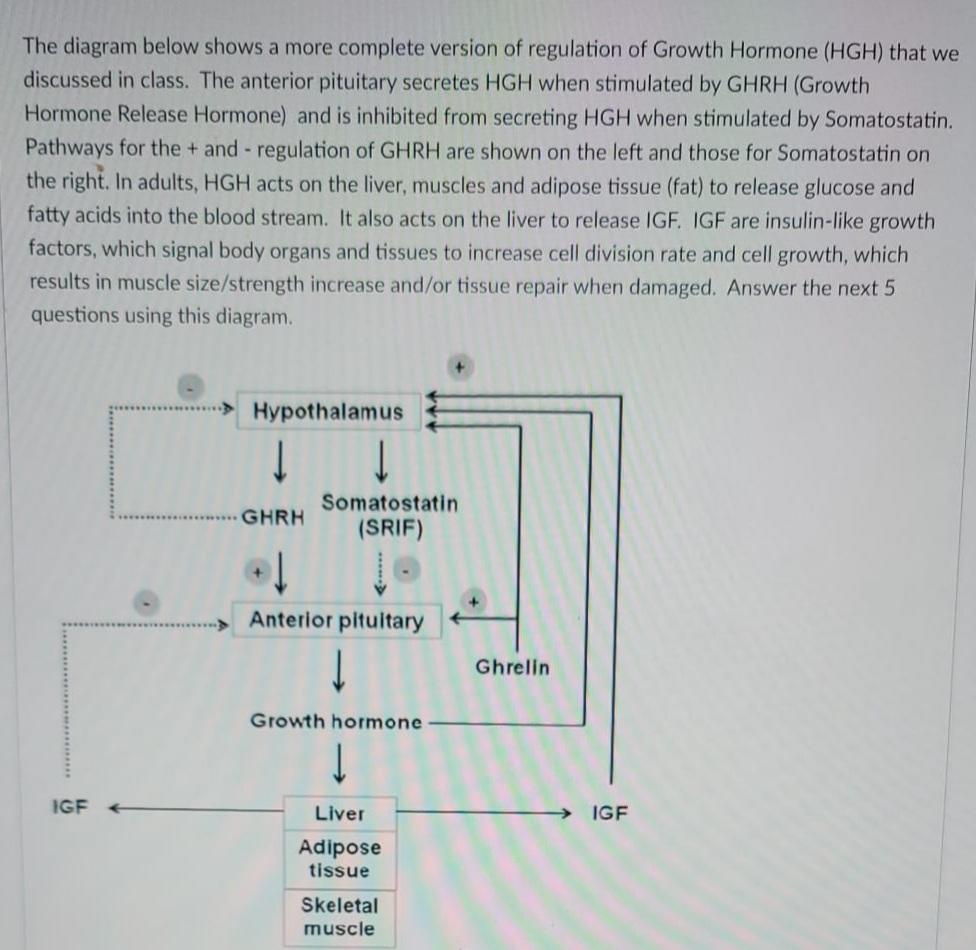 Hgh Diagrams