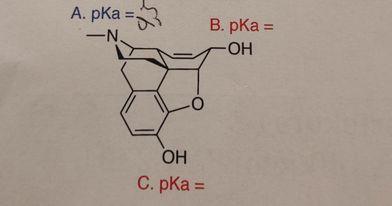 Solved What are the pka values in the functional groups | Chegg.com