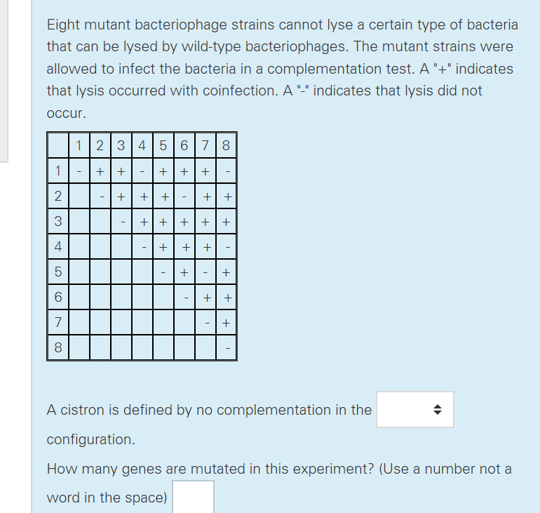 Solved Eight mutant bacteriophage strains cannot lyse a | Chegg.com