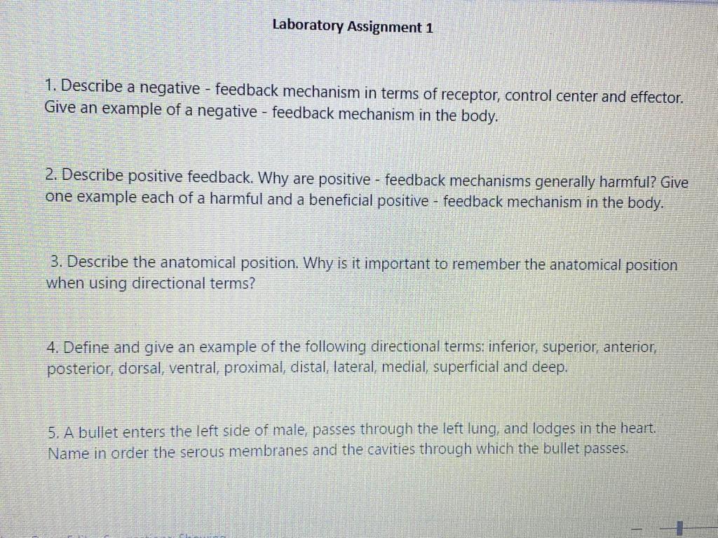 Solved Laboratory Assignment 1 1. Describe a negative - | Chegg.com
