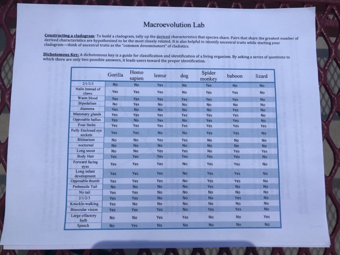 Macroevolution Lab Constructinga cladogram: To build | Chegg.com
