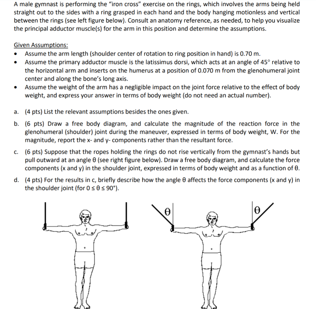 A male gymnast is performing the "iron cross” | Chegg.com