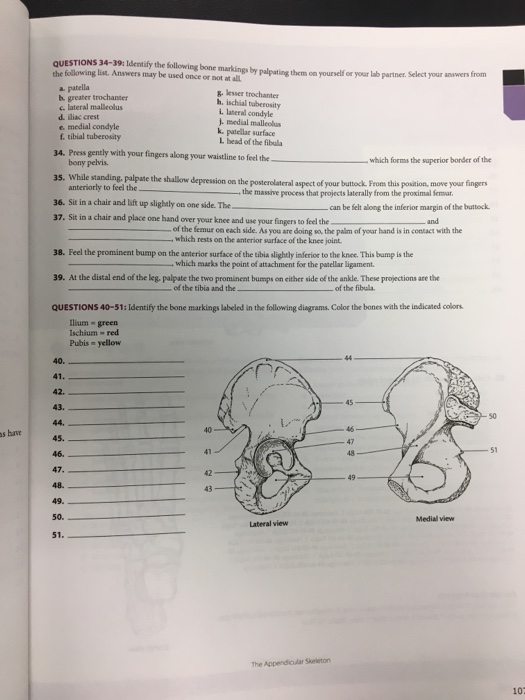 Solved QUESTIONS 34-39: Identify the following bone markings | Chegg.com