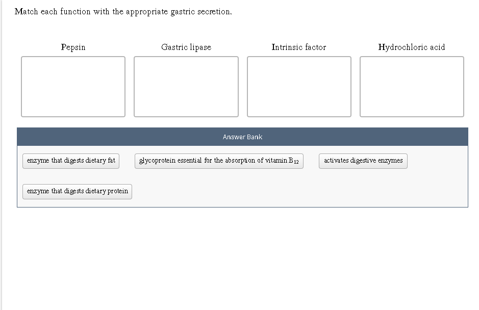 Solved Match each function with the appropriate gastric | Chegg.com