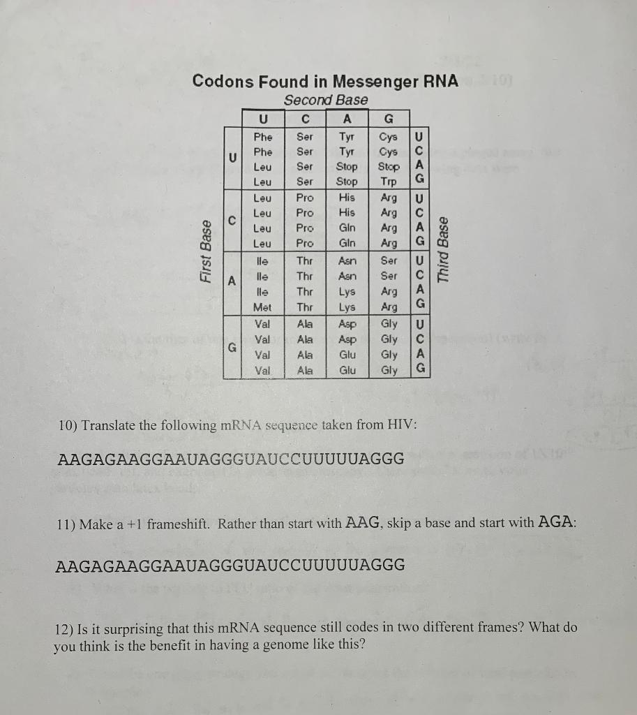 Solved с Codons Found in Messenger RNA 03 Second Base U с A | Chegg.com