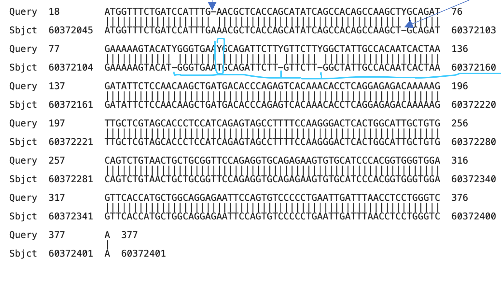 Solved Query 18 | Chegg.com