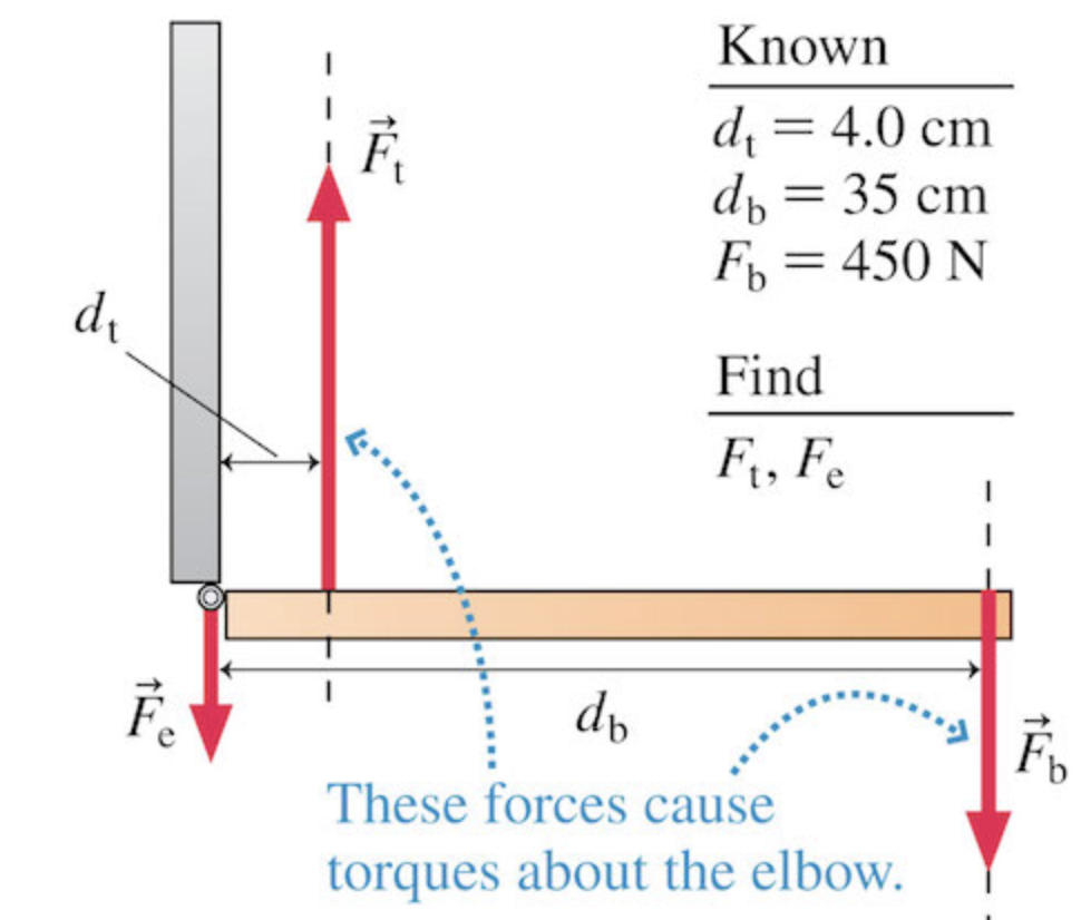 Solved Part A In the joints of the human body, muscles | Chegg.com