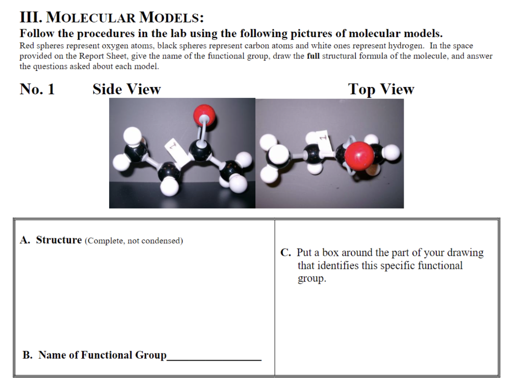 Solved III. MOLECULAR MODELS: Follow the procedures in the | Chegg.com