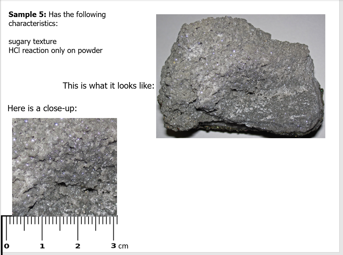 Solved Sample 4: Has the following characteristics: lime mud | Chegg.com