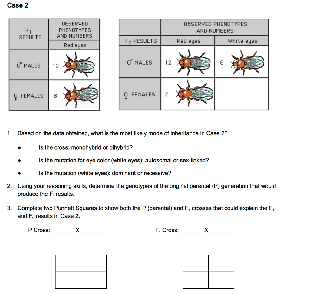Solved Case 2 OBSERVED PHENOTYPES AND NUMBERS OBSERVED | Chegg.com