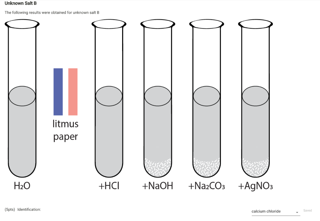 Solved Key: = colorless = solid = bubbles Unknown Salt B | Chegg.com