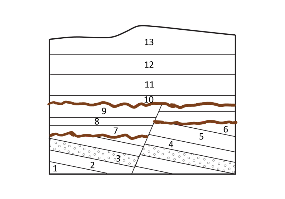 Solved Examine Figure 14.21. All the layers in this block | Chegg.com