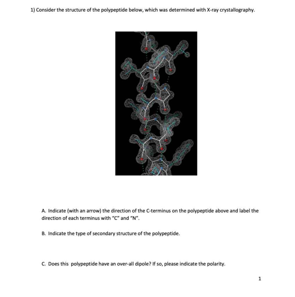 Solved 1) Consider the structure of the polypeptide below, | Chegg.com