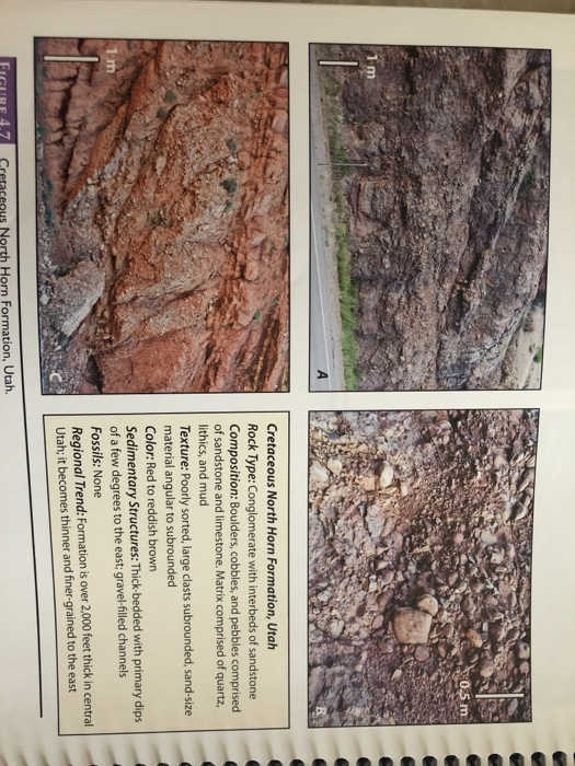 Solved 48 Exercise 4 Depositional Environments PROCEDURE 2. | Chegg.com