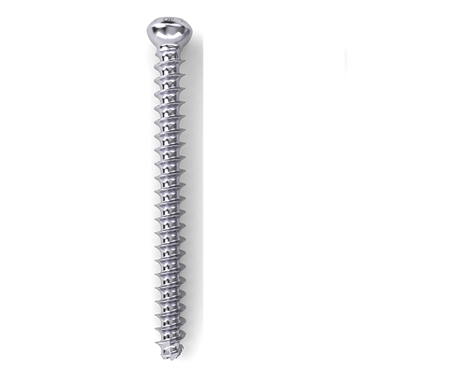 Solved Show all the applied forces on the cannulated screw | Chegg.com