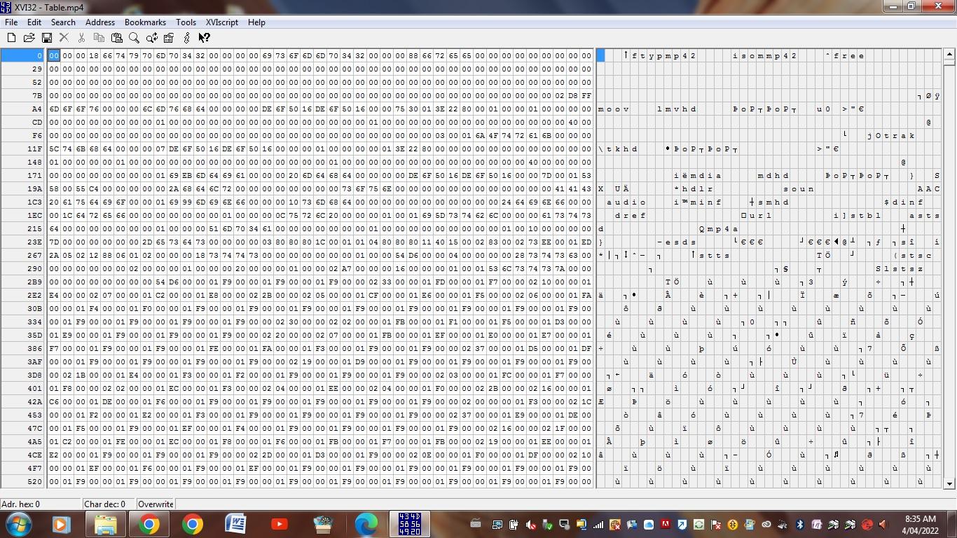 Solved Suggest the type of file, with its contents shown in | Chegg.com