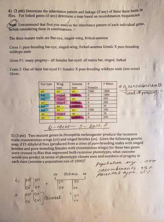 Solved 4) (3 pts) Determine the inheritance pattern and | Chegg.com