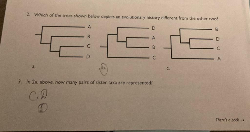 Solved 2. Which of the trees shown below depicts an | Chegg.com