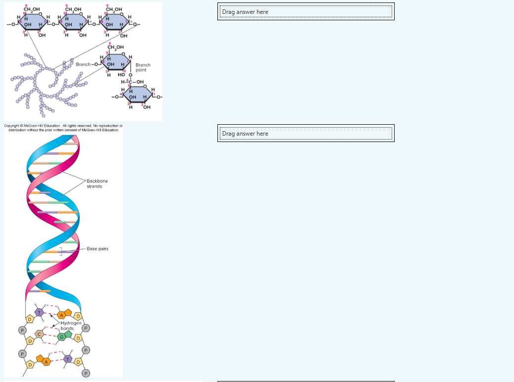 these are the options. and the pictures are below it | Chegg.com