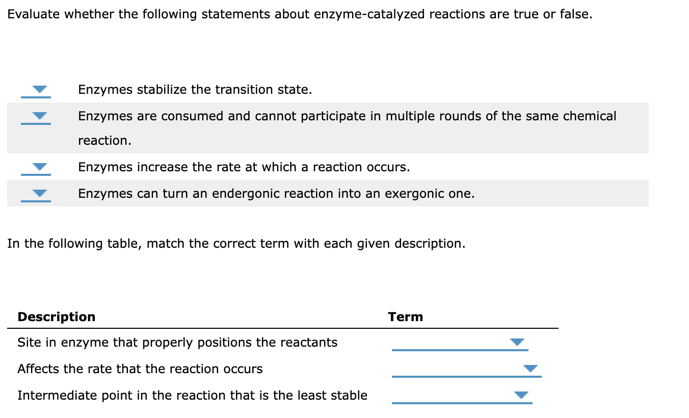 Solved Enzymes stabilize the transition state.Enzymes are | Chegg.com