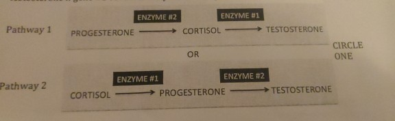 Solved 3. G biosynthetic pathway observe that mice | Chegg.com