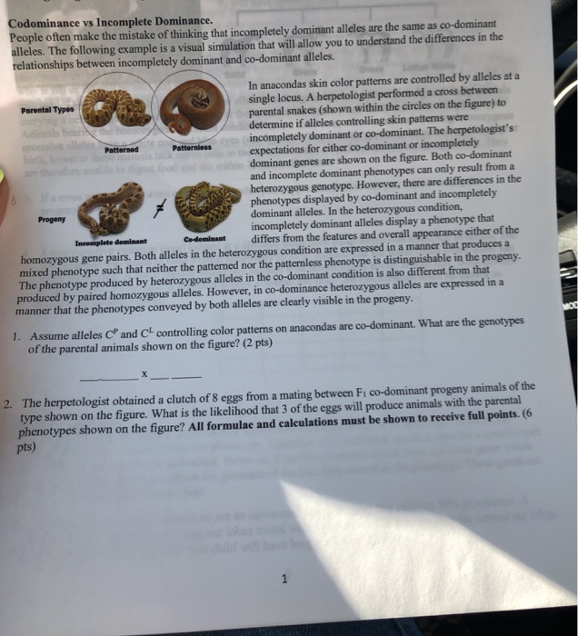Codominance vs Incomplete Dominance. People often | Chegg.com