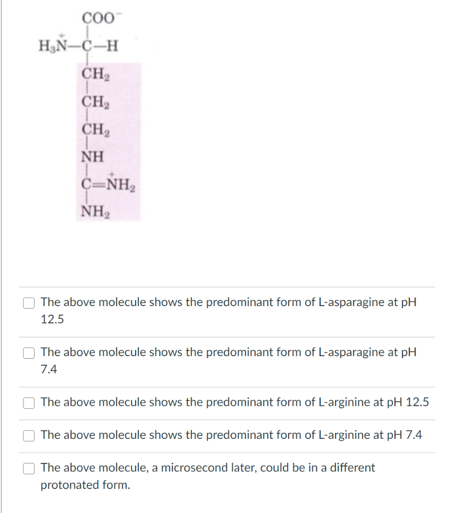 Solved COO H2N-C-H CH, CH CH, NH C=NH NH The above molecule | Chegg.com