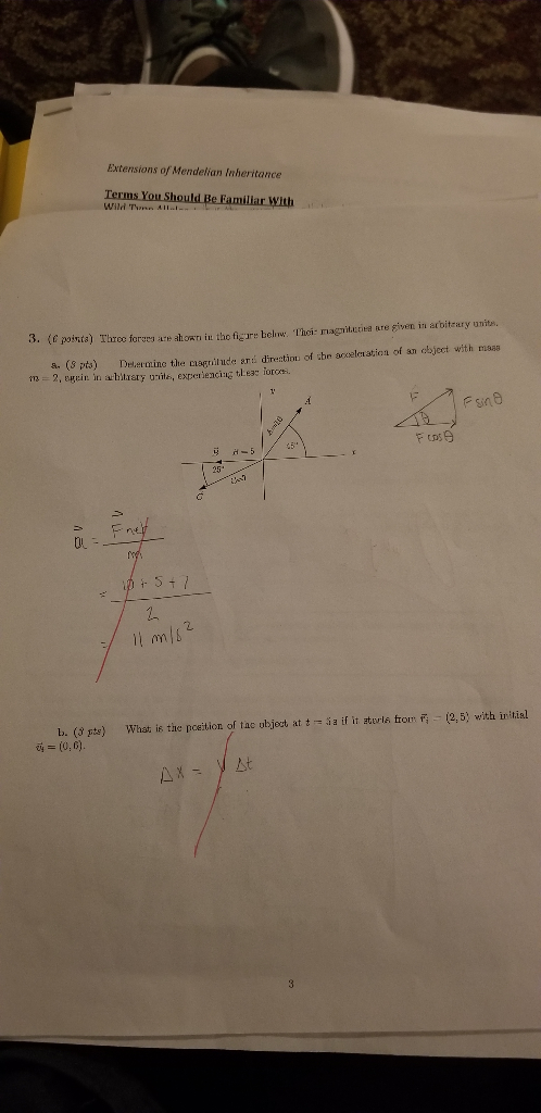 Solved Extensions of Mendelian Inheritance Terms You Should | Chegg.com