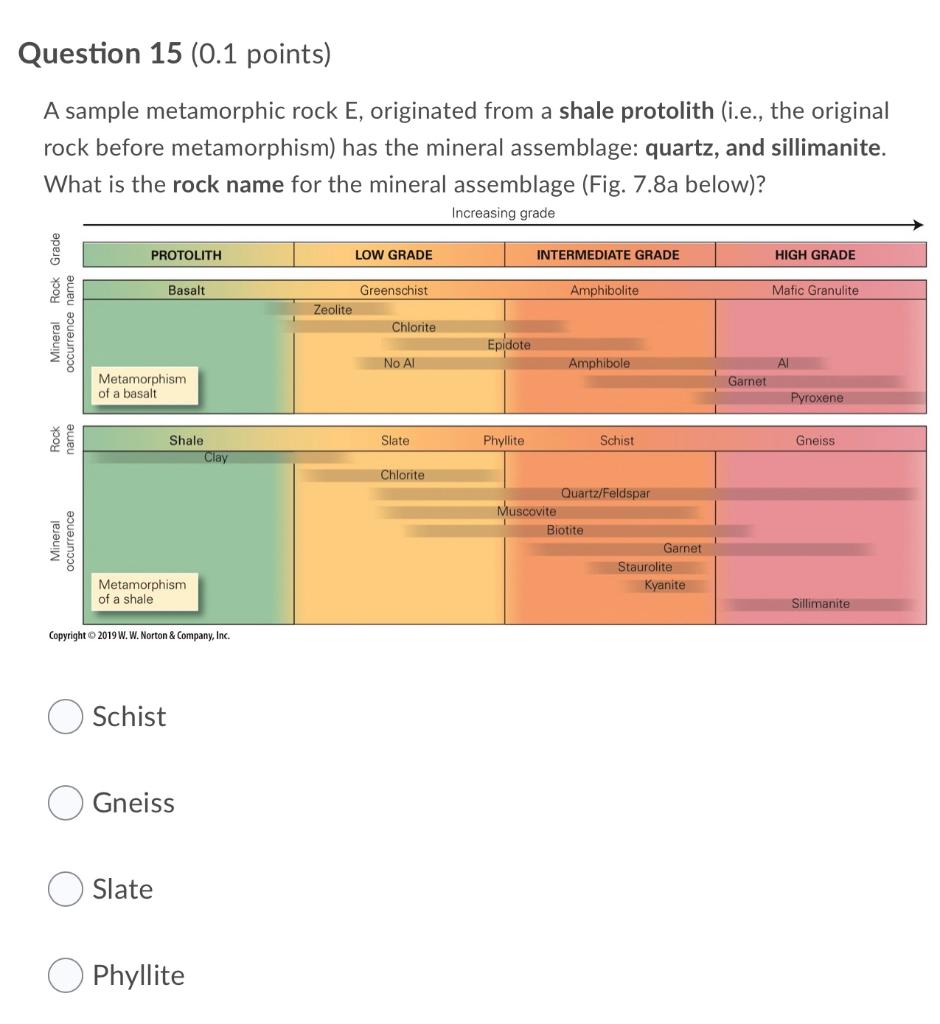 Solved Question 20 (0.1 points) A sample metamorphic rock F, | Chegg.com