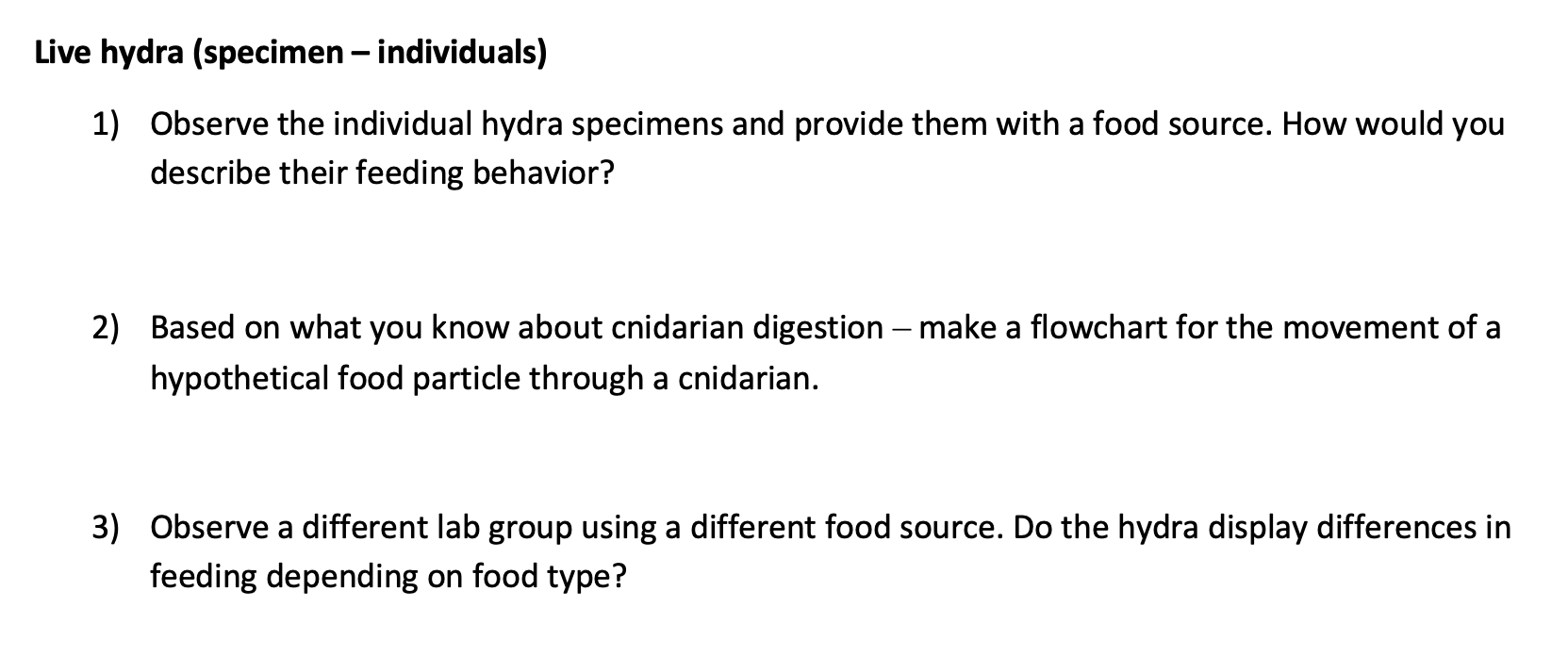 Solved Live hydra (specimen - individuals) 1) Observe the | Chegg.com