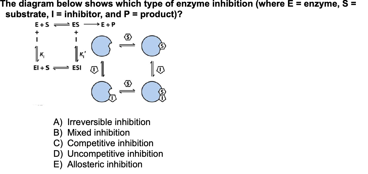 Solved The diagram below shows which type of enzyme | Chegg.com
