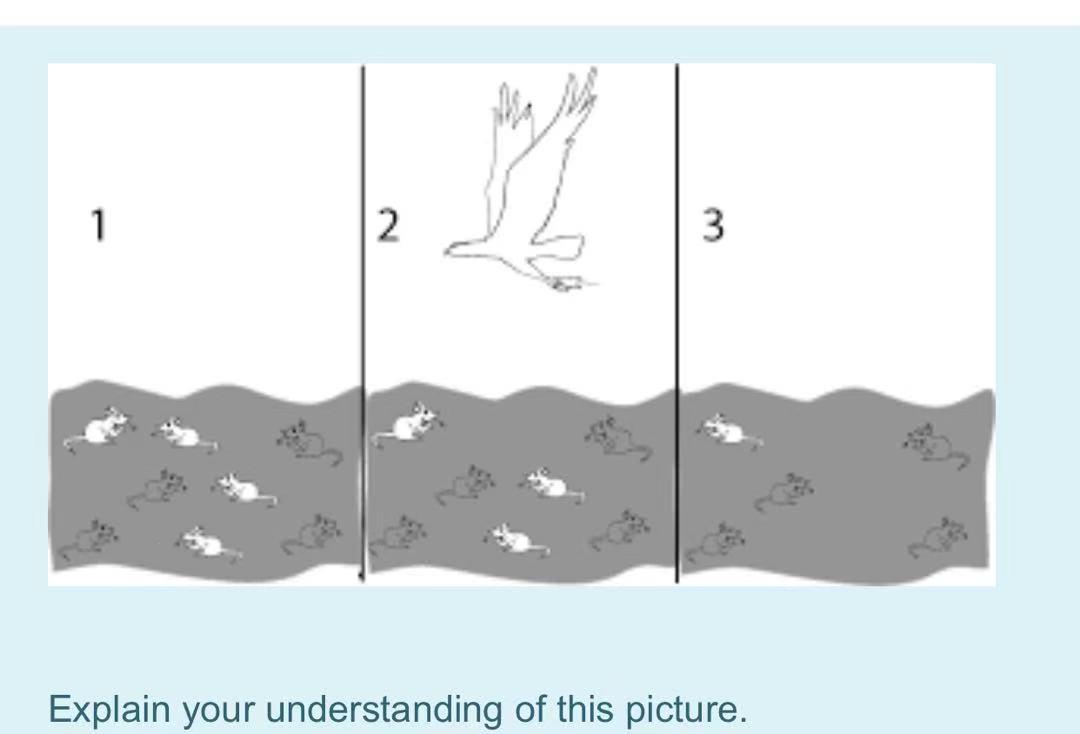 Solved 1 2 3 Explain your understanding of this picture. | Chegg.com