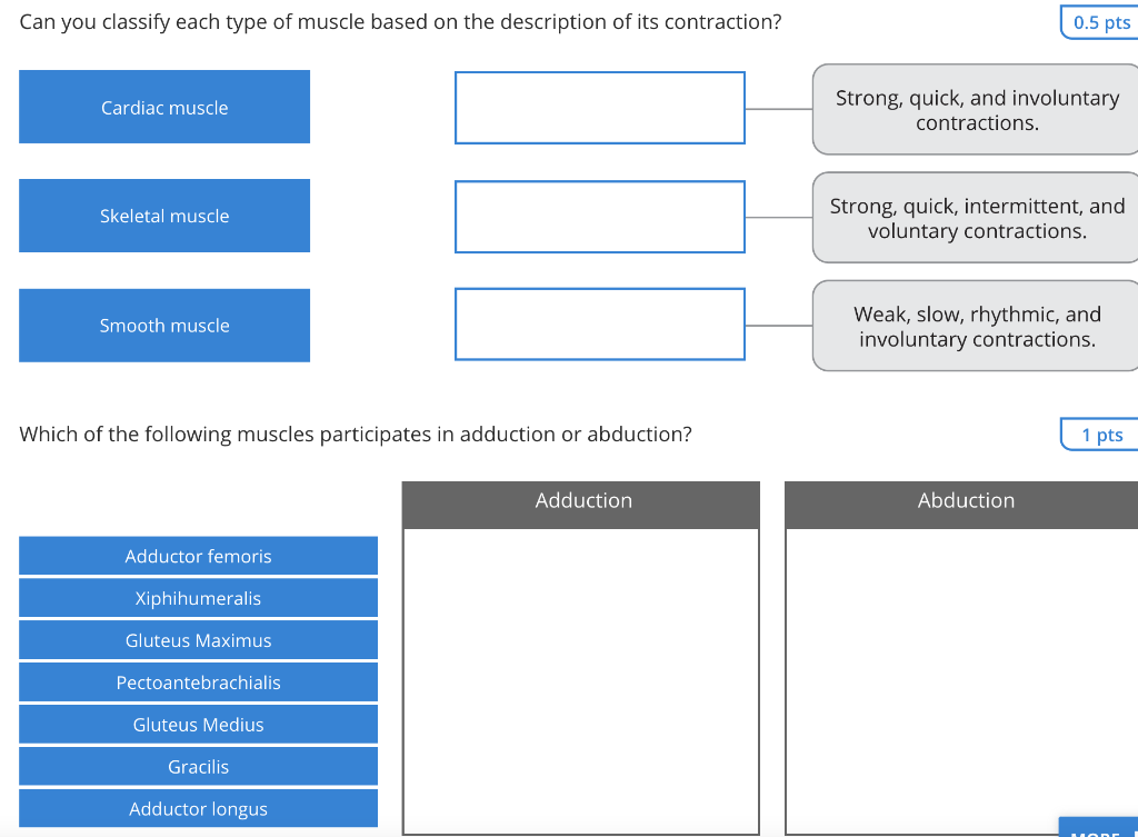 Solved Can you classify each type of muscle based on the | Chegg.com