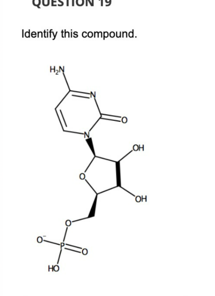 Solved Identify this compound. HN OH он HO | Chegg.com