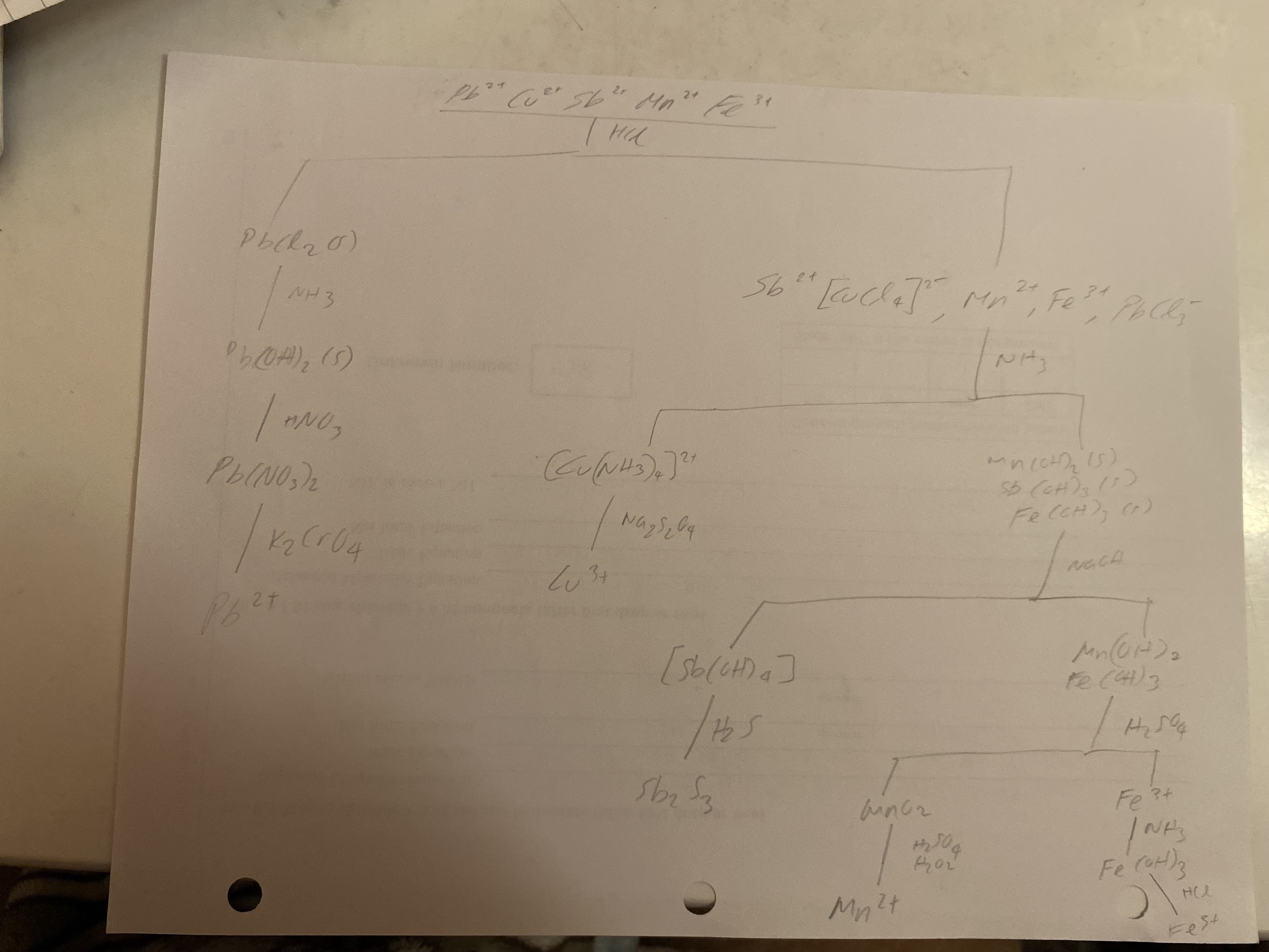 Solved Please write all the net ionic reactions for each | Chegg.com
